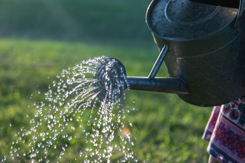Make Water Famous – Free water butts reduce storm overflows