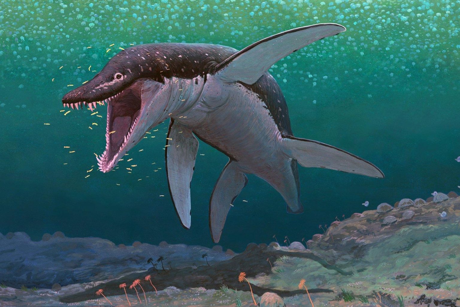 Make Water Famous – Mega sea monster identified from ancient fossils