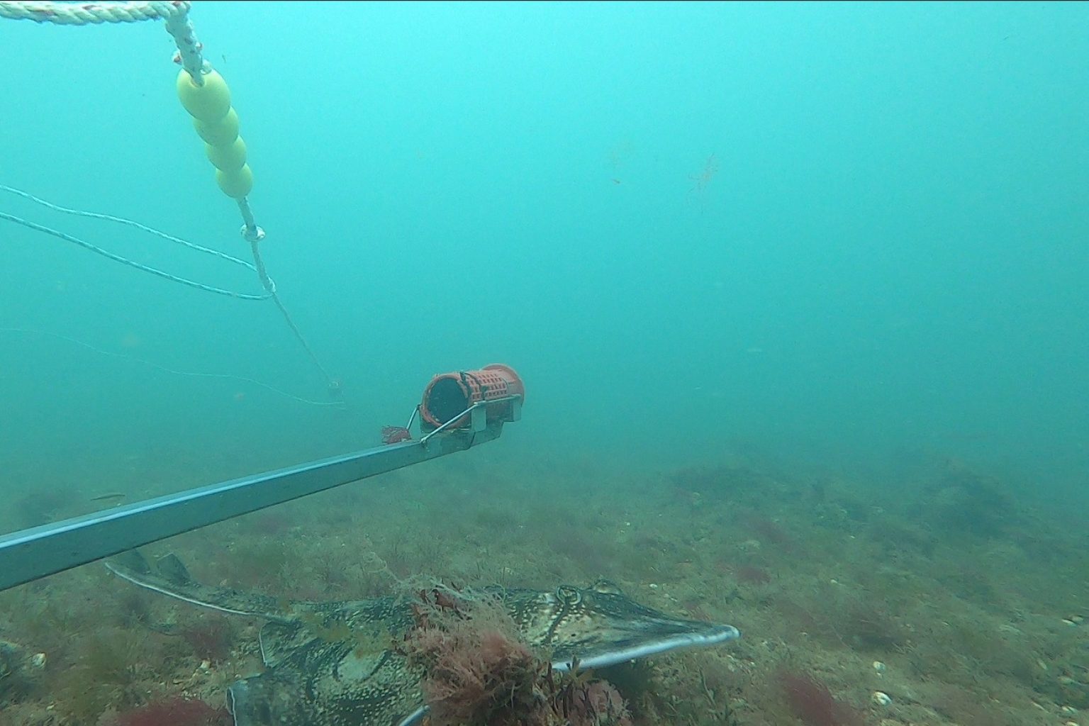 Make Water Famous – Nature & Environment