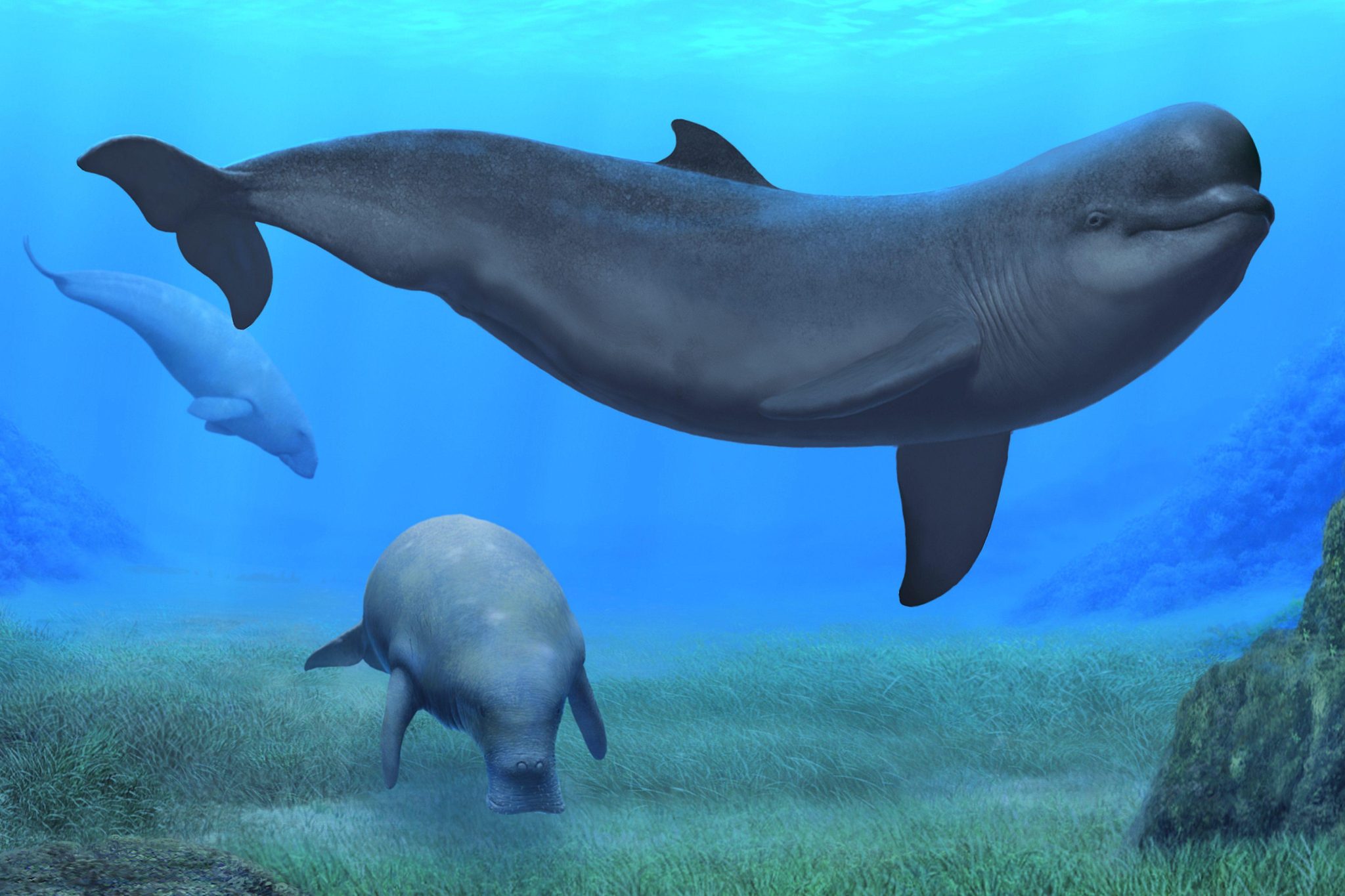 Make Water Famous – Nature & Environment