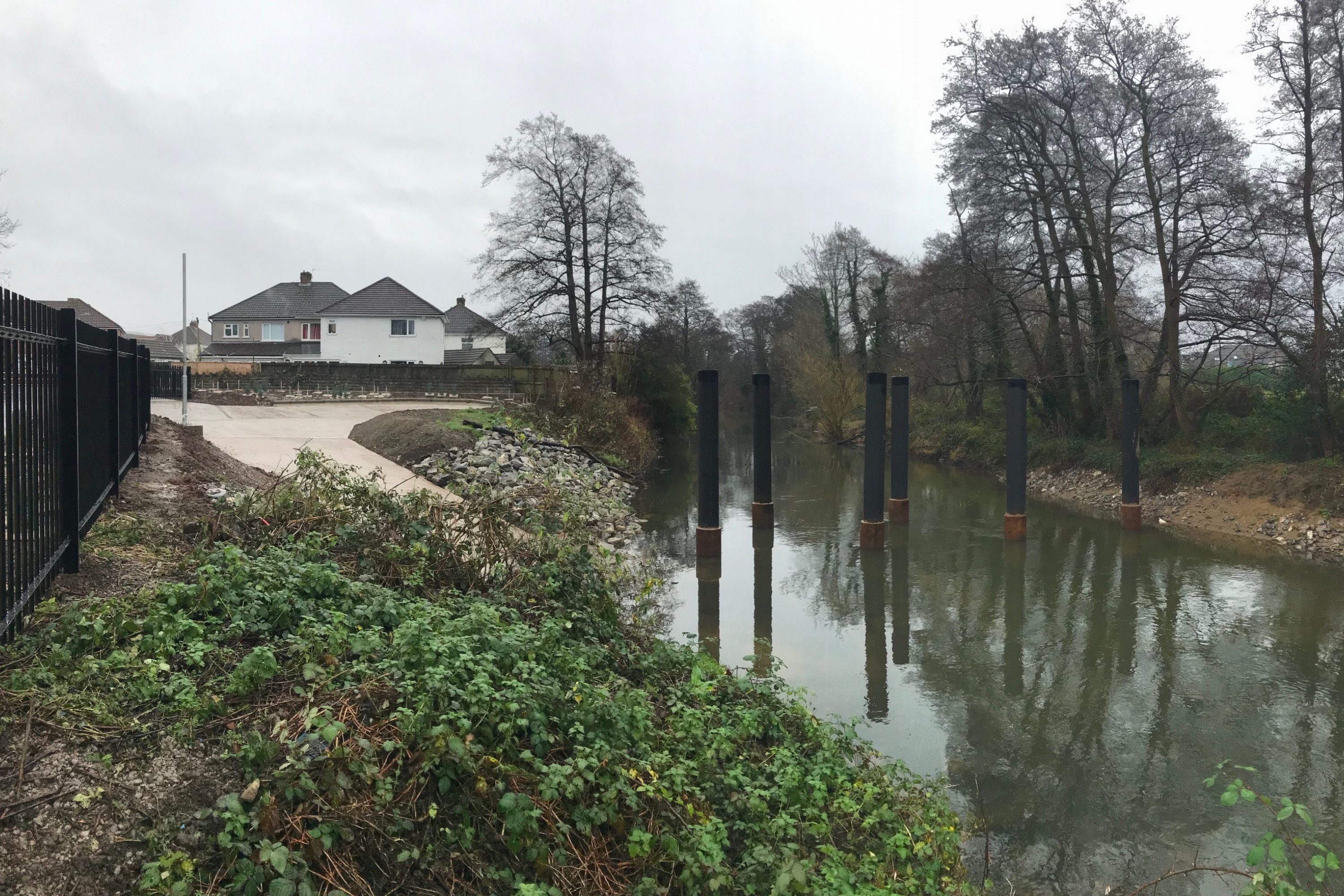 Make Water Famous – Innovative ‘tree catcher’ reduces flood risk to ...