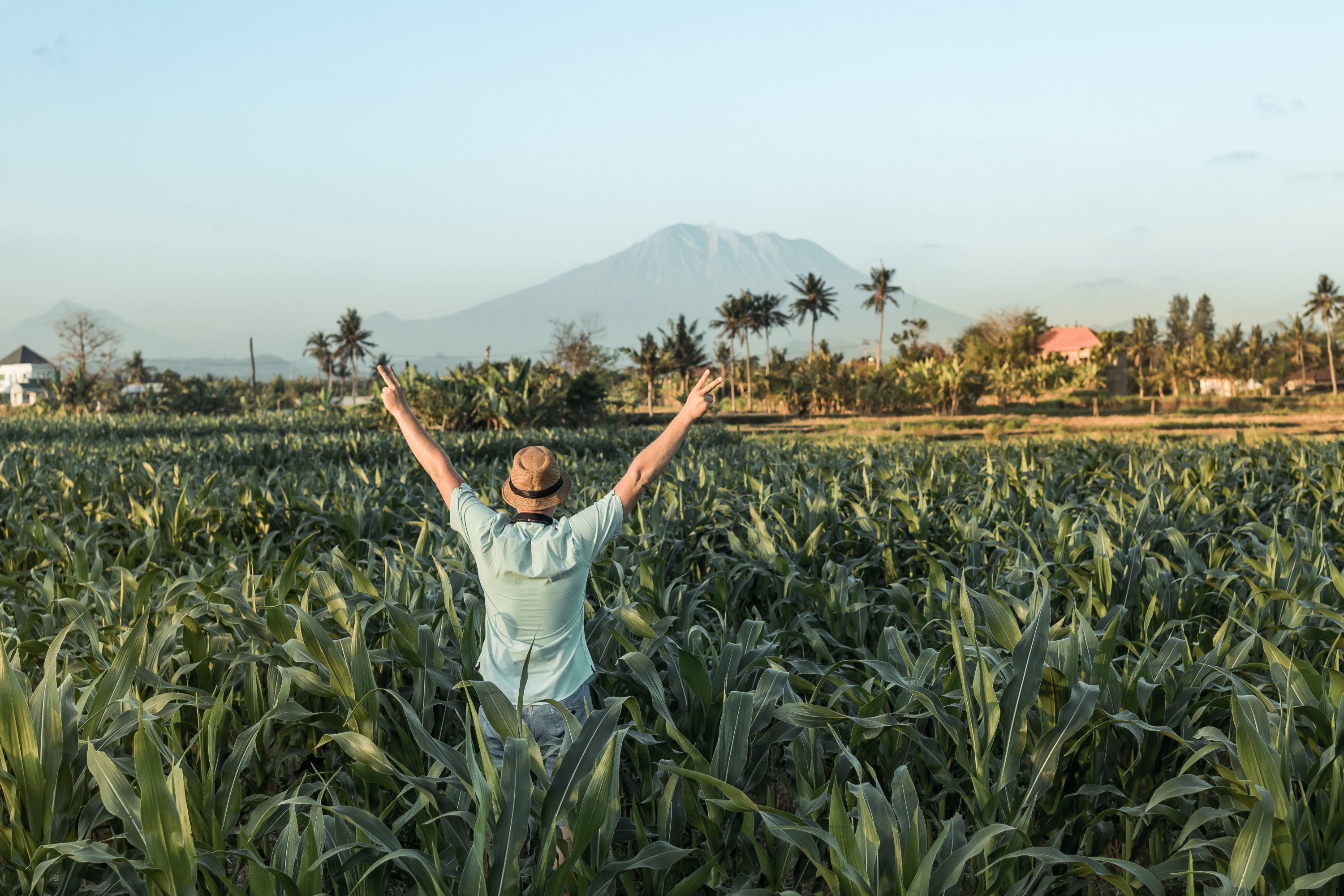 Make Water Famous – Blockchain helps capture water from fruit and veg