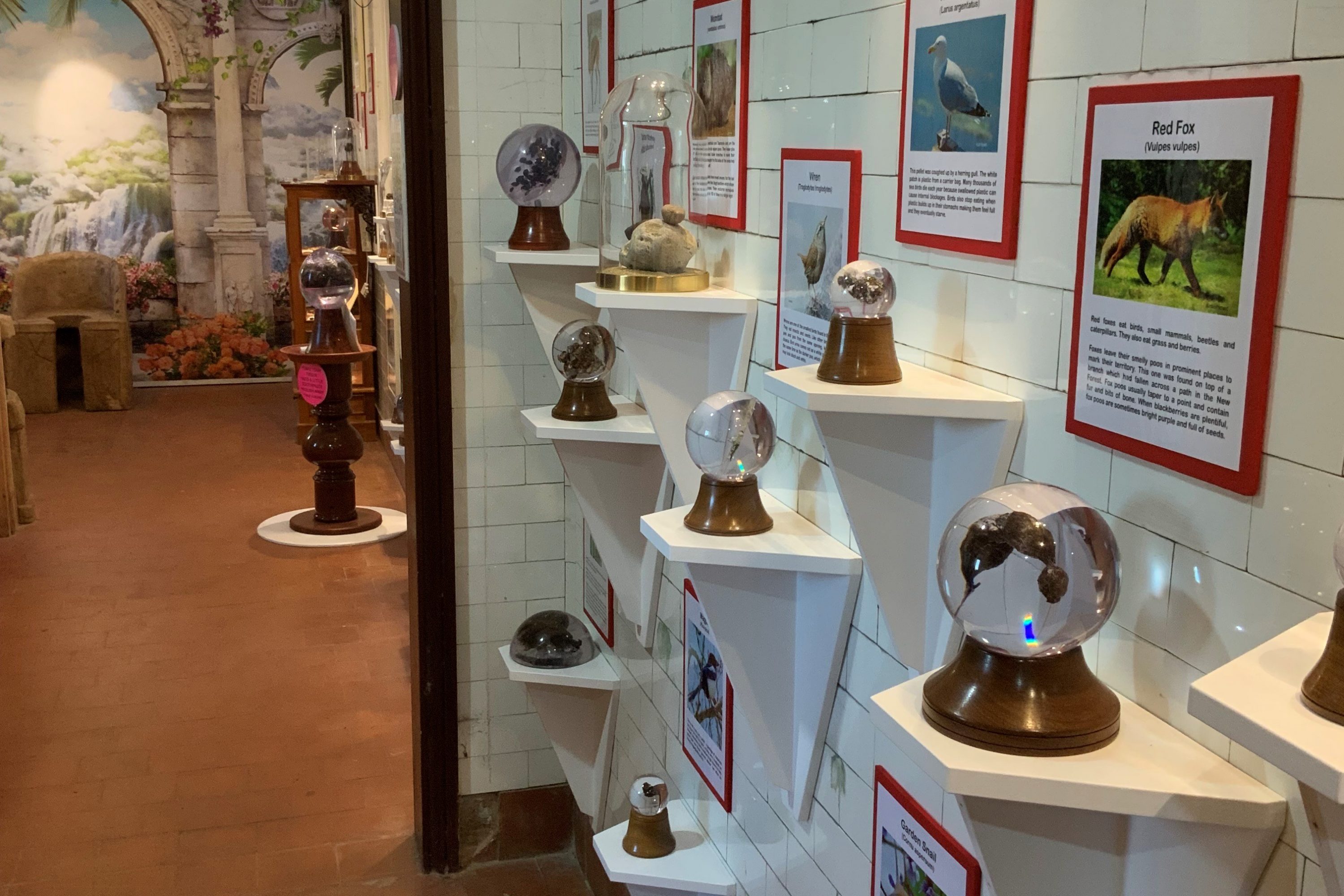 Make Water Famous – Poo museum opens for business