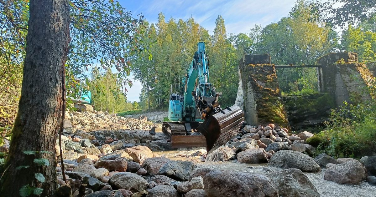 Make Water Famous – European dam removals hit record breaking year