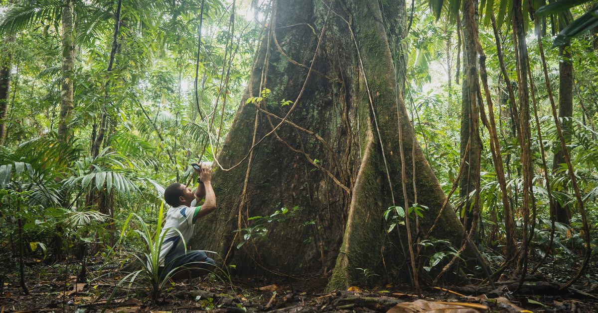 Make Water Famous – Remote labs protecting rainforests from fires