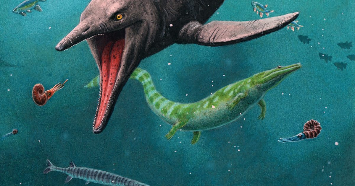 Make Water Famous – Oldest sea reptile found on Arctic island
