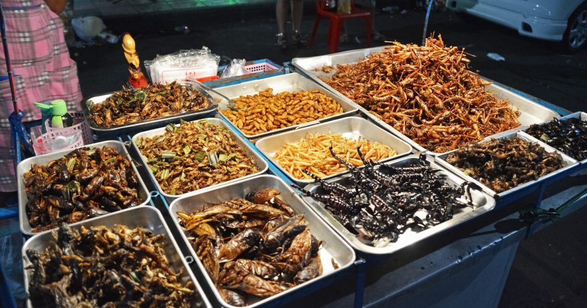 Make Water Famous – Eat insects to save water