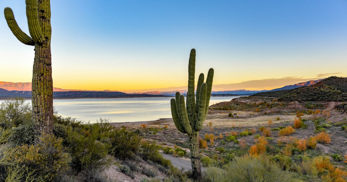 Make Water Famous – Groundbreaking water model protects Arizona flow