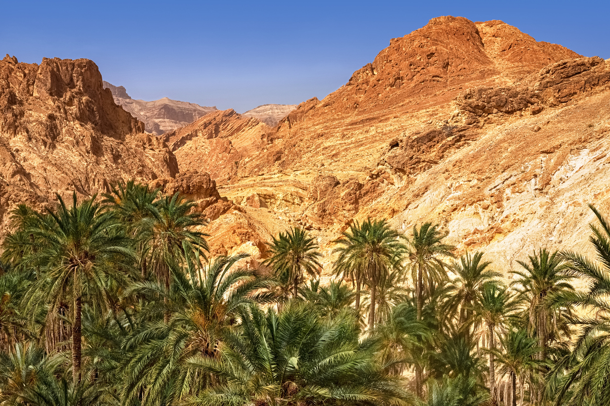 Make Water Famous – Oases vital for culture and biodiversity