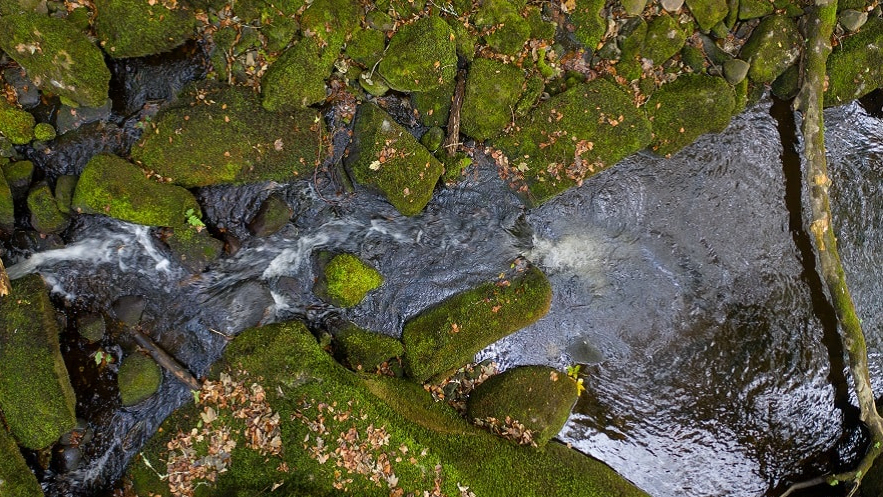 Make Water Famous – Securing water for Devon and Cornwall