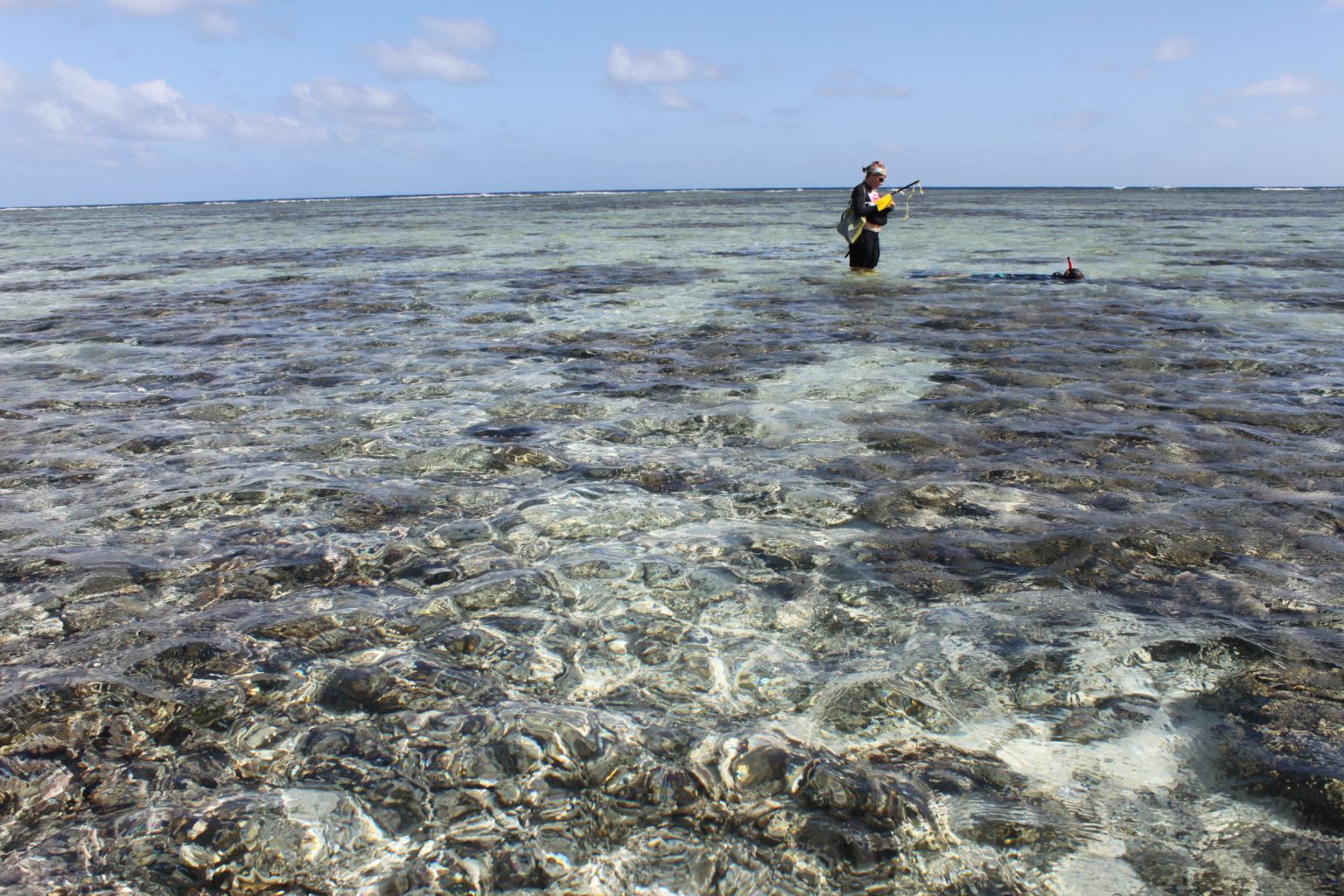 Make Water Famous – Satellites and sand reveal health of coral reefs