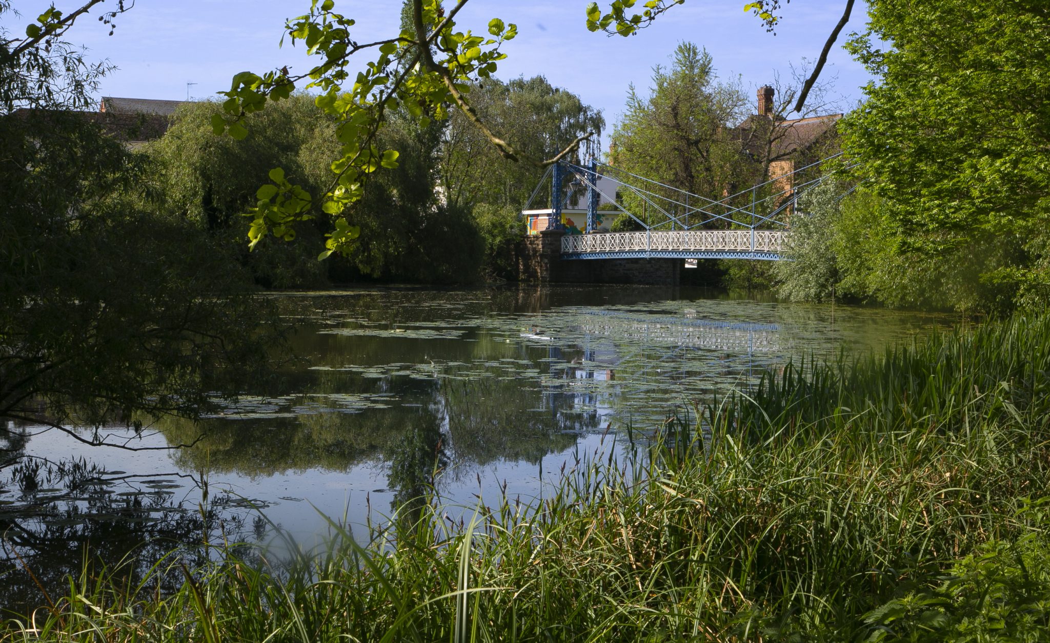Make Water Famous – Pioneering water treatment could clean up rivers