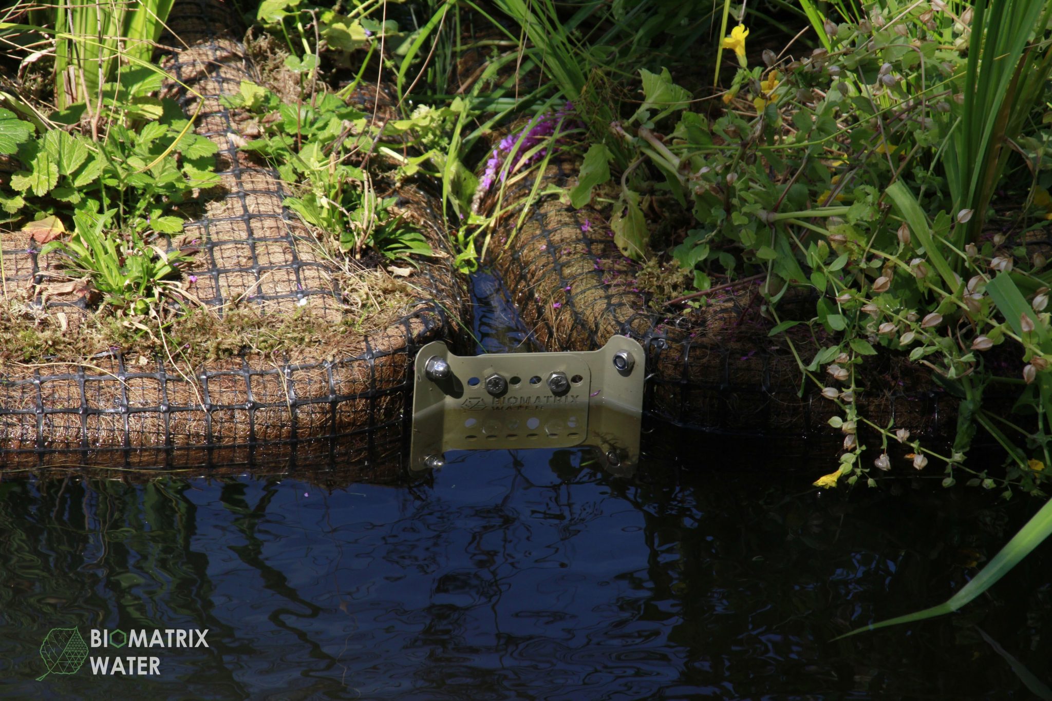 Make Water Famous – Floating ecosystem brings biodiversity to iconic lake