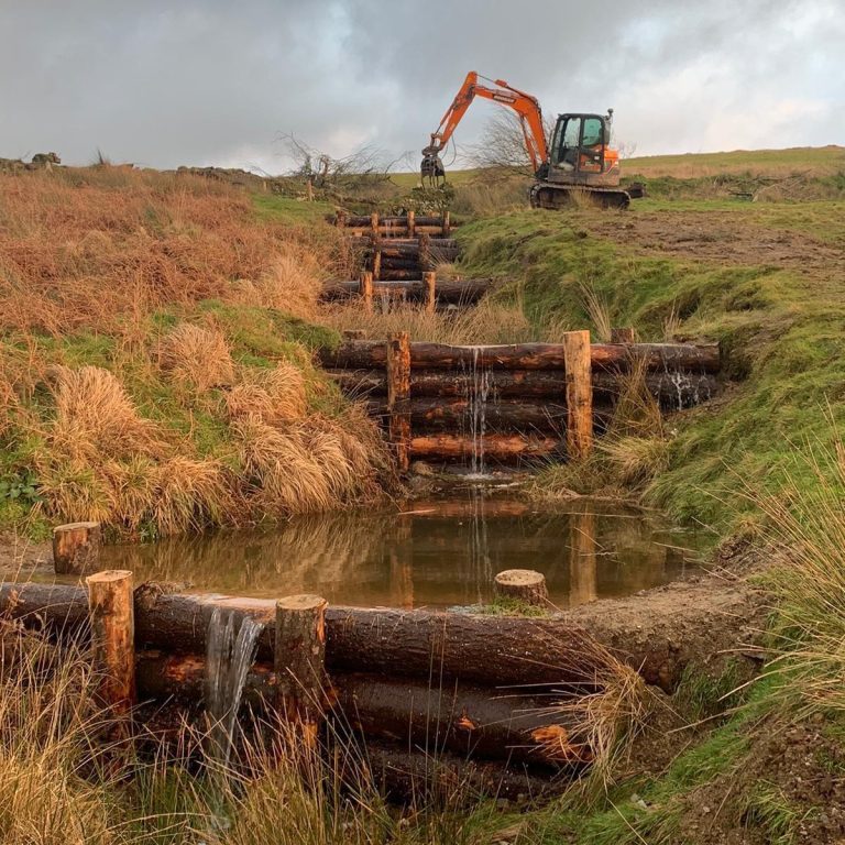 Make Water Famous – Tree replacement boosts wildlife and damaged peatlands
